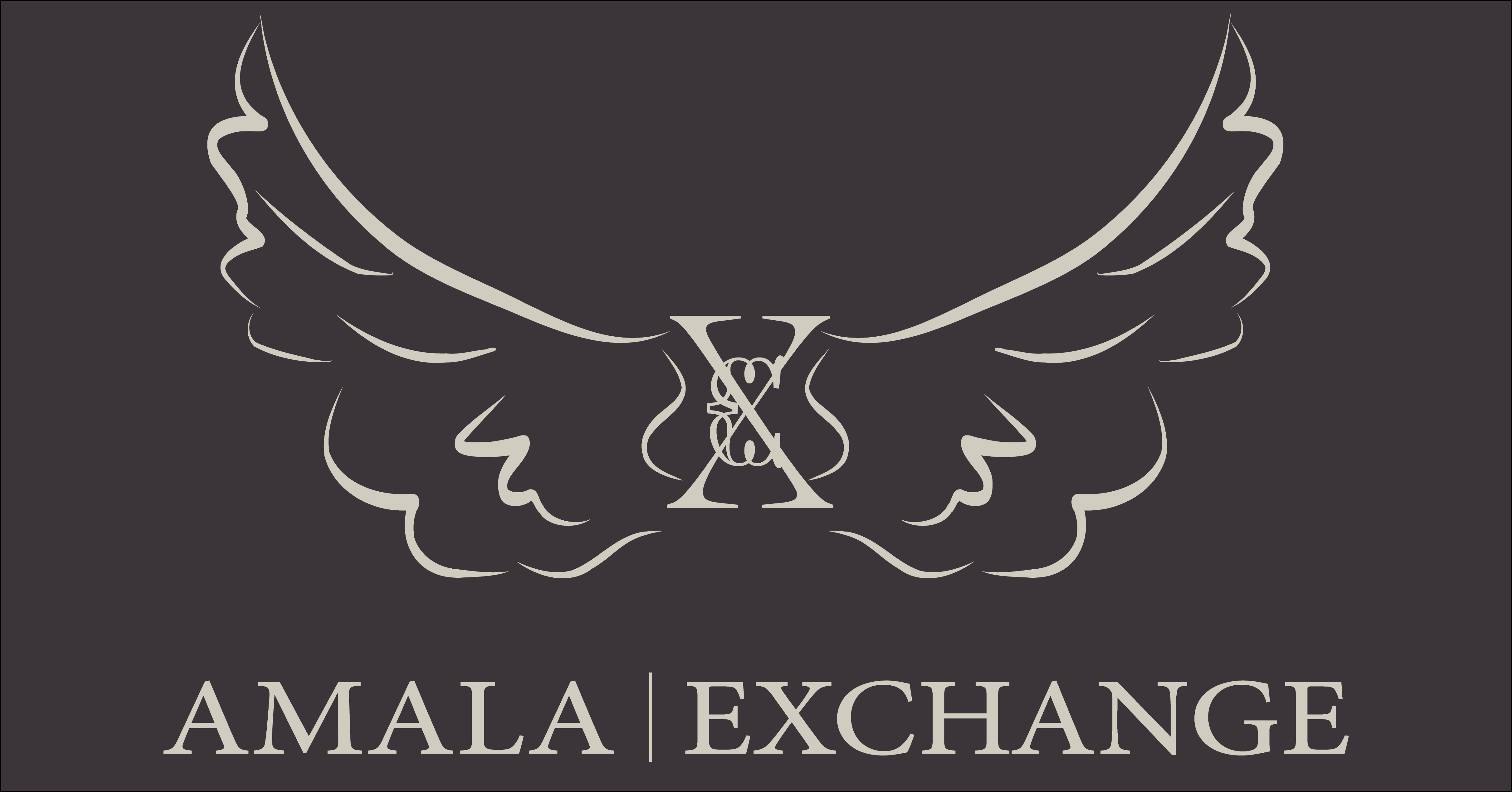 Amala Exchange – AMALA EXCHANGE LLC